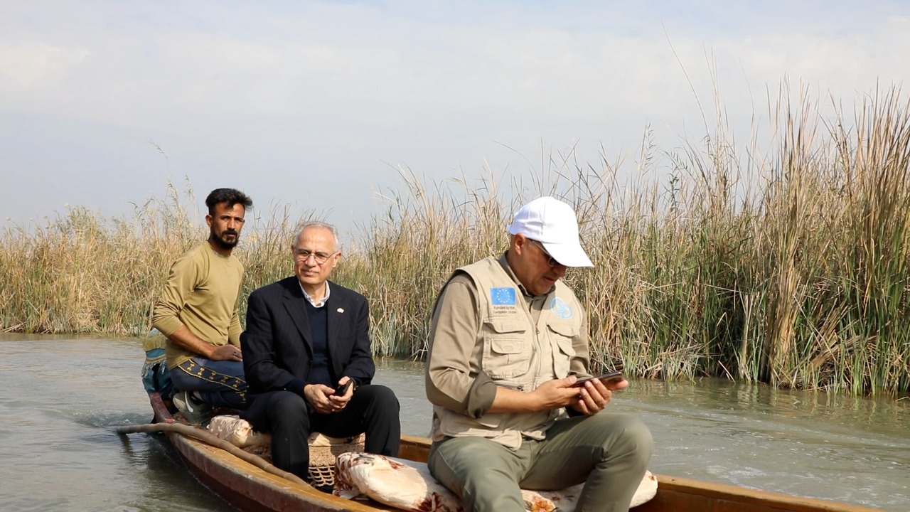 Moving from humanitarian to development solutions for Iraq’s internally ...