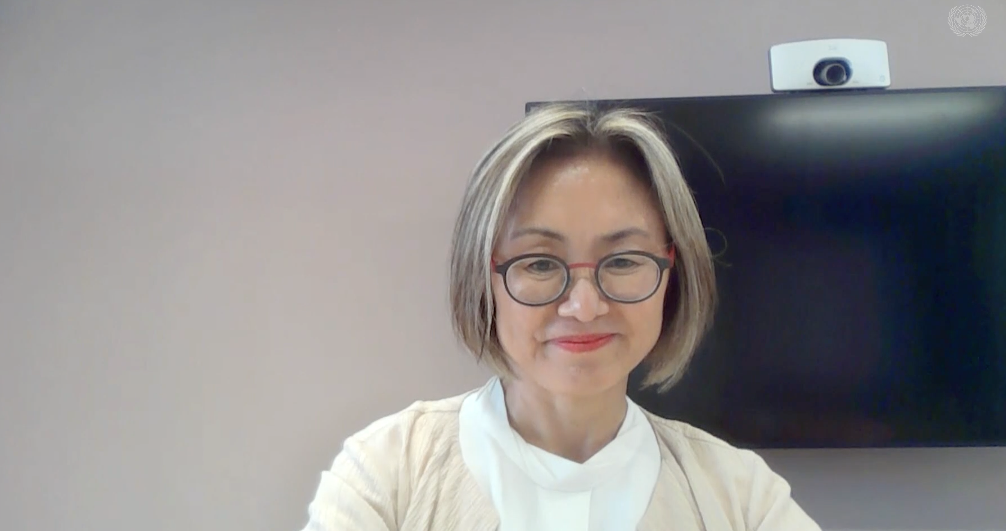 Remarks by DCO Regional Director for Europe & Central Asia: Effective ...
